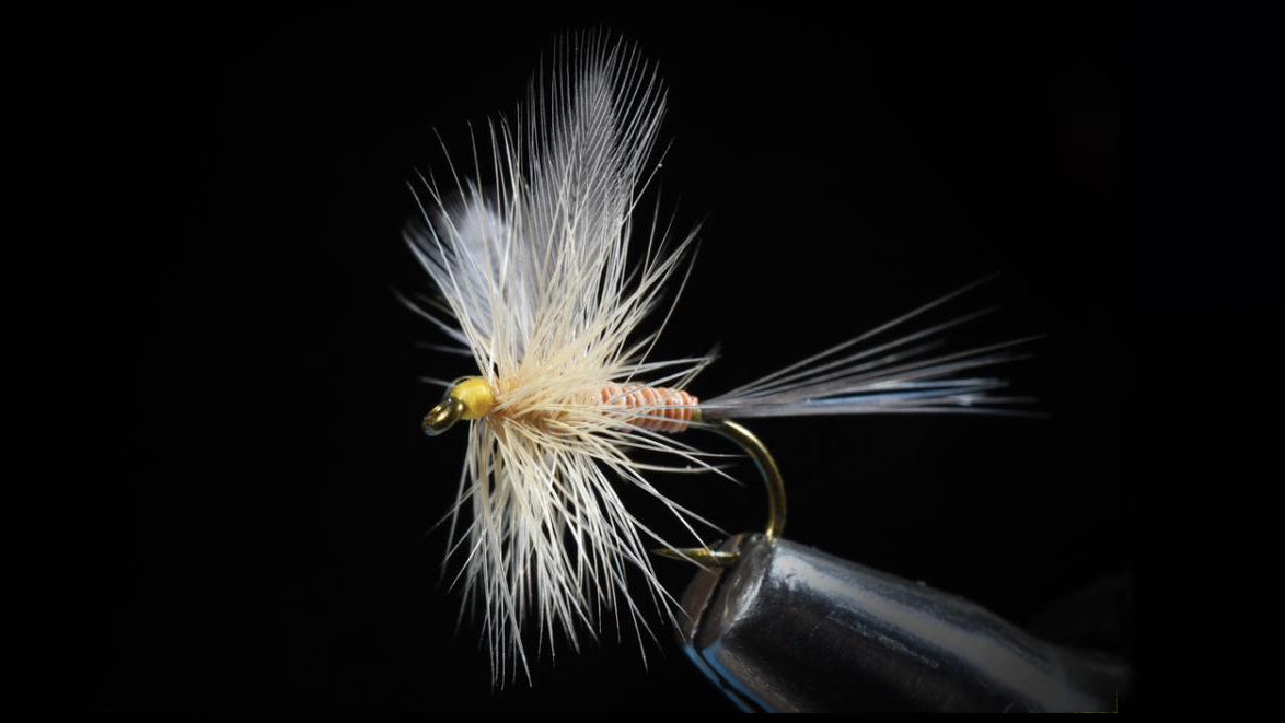 AK's Melon Quill Fly Tying Video – charliesflybox