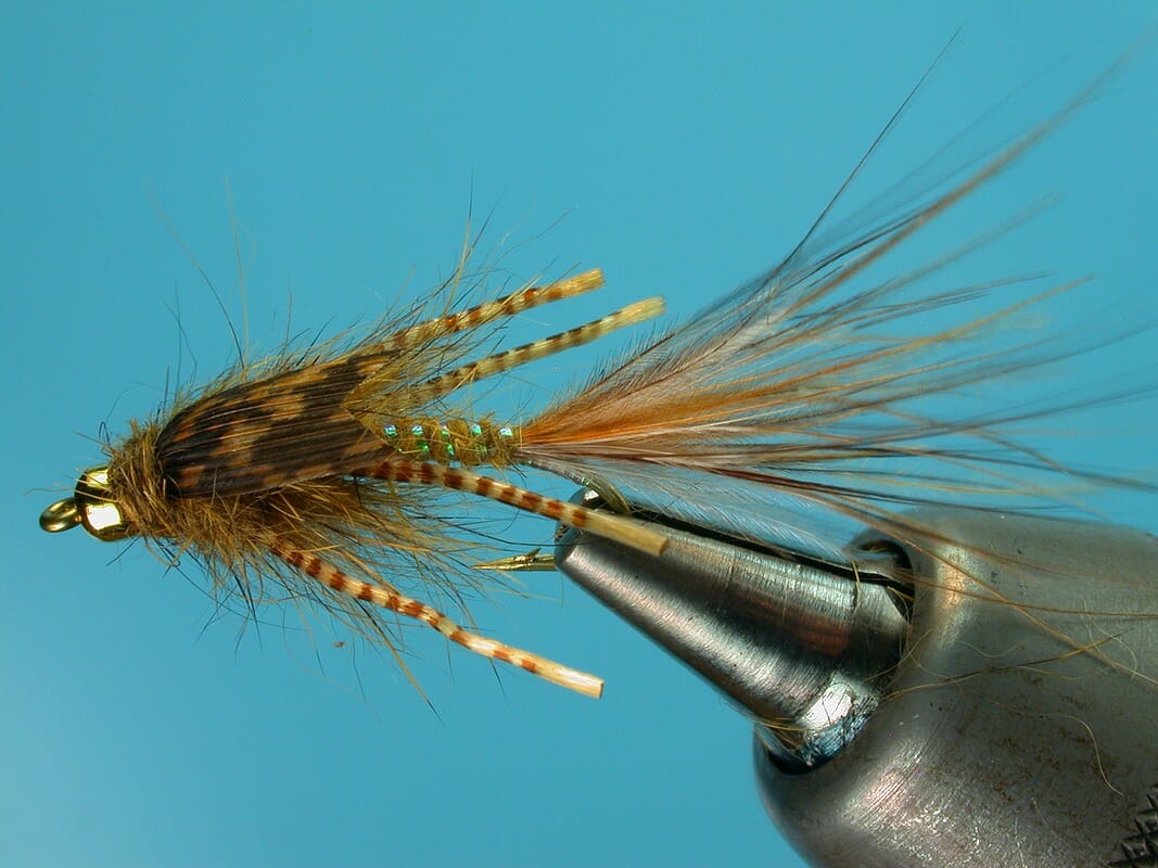 Aggravator, Burk’s – charliesflybox