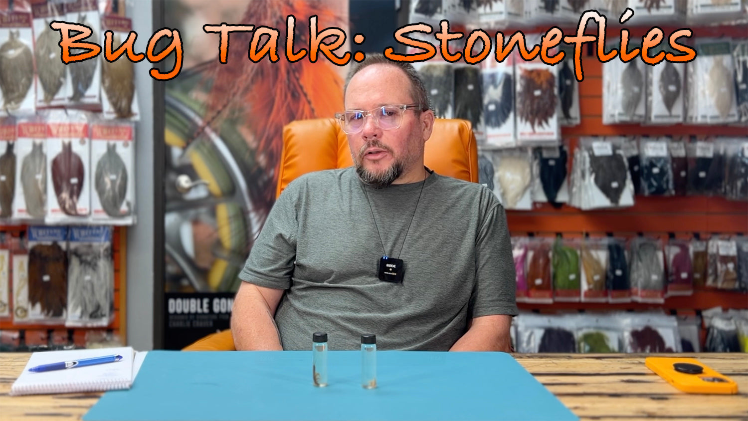 Bug Talk: Stoneflies – charliesflybox