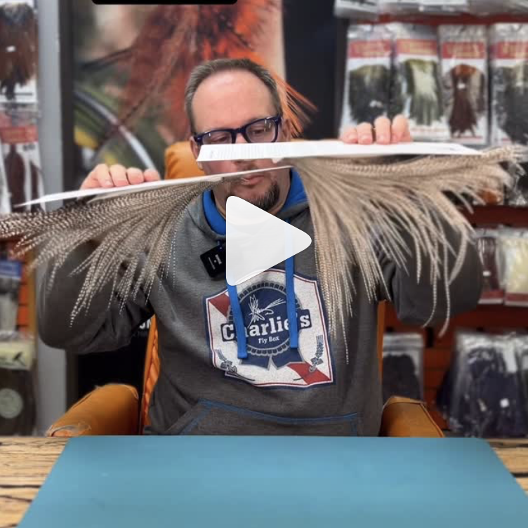 Charlie talks the difference Whiting Bronze vs. Silver Grades ...