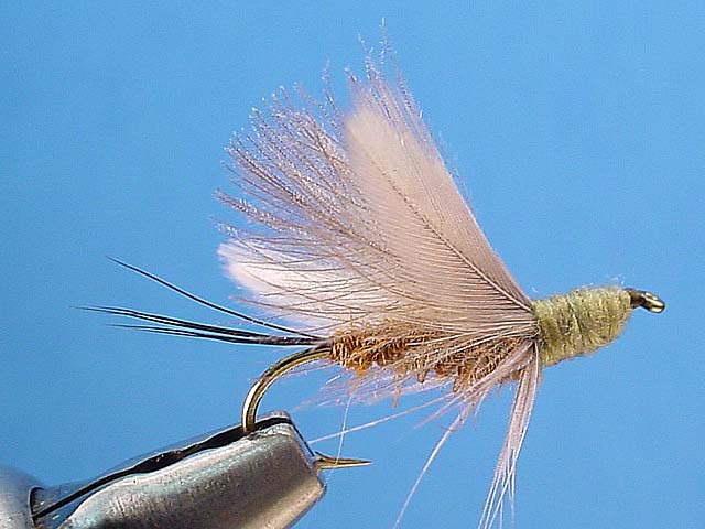 Green Drake Cripple – charliesflybox