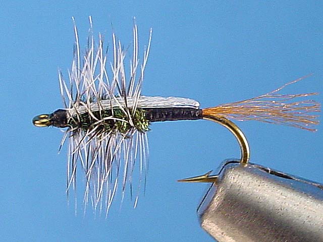 Stuck in the Shuck Midge – charliesflybox