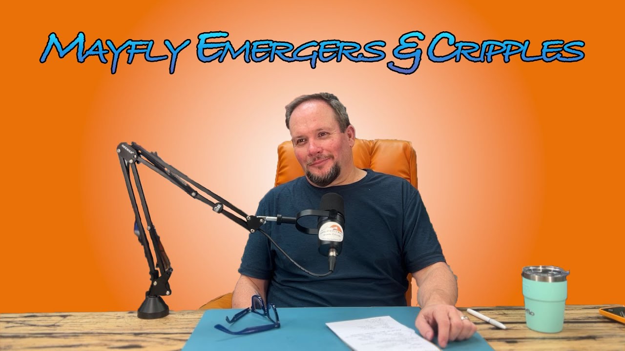 Mayfly Cripples and Emergers Explained by Charlie Craven – charliesflybox