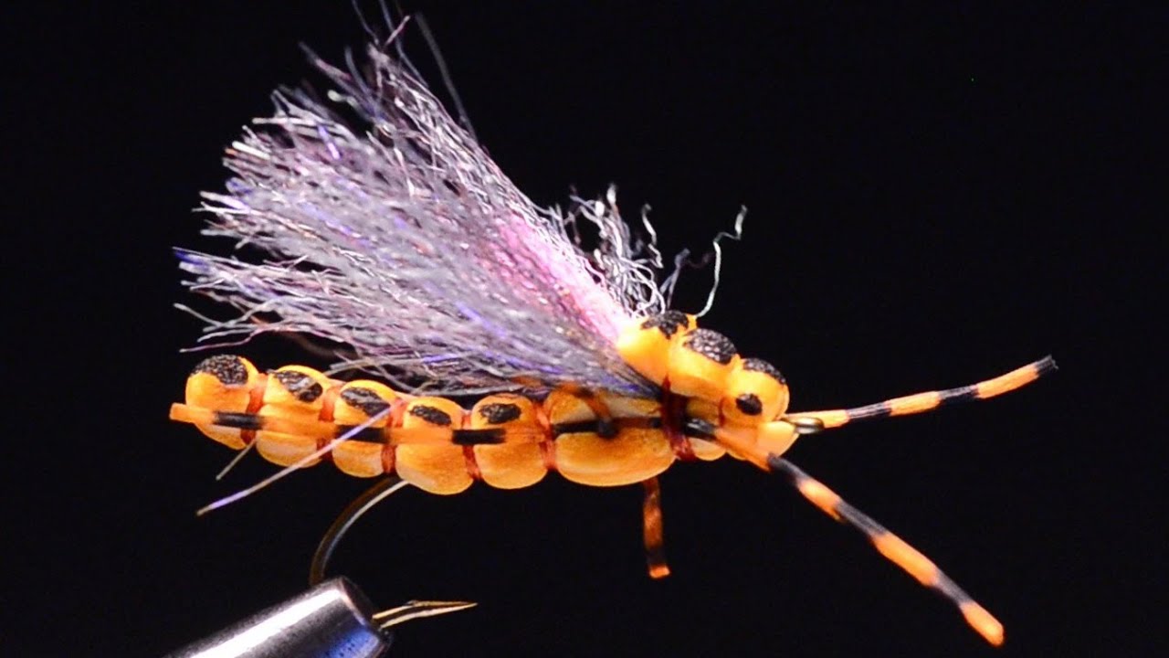 Morningwood Special Fly Tying Video – charliesflybox