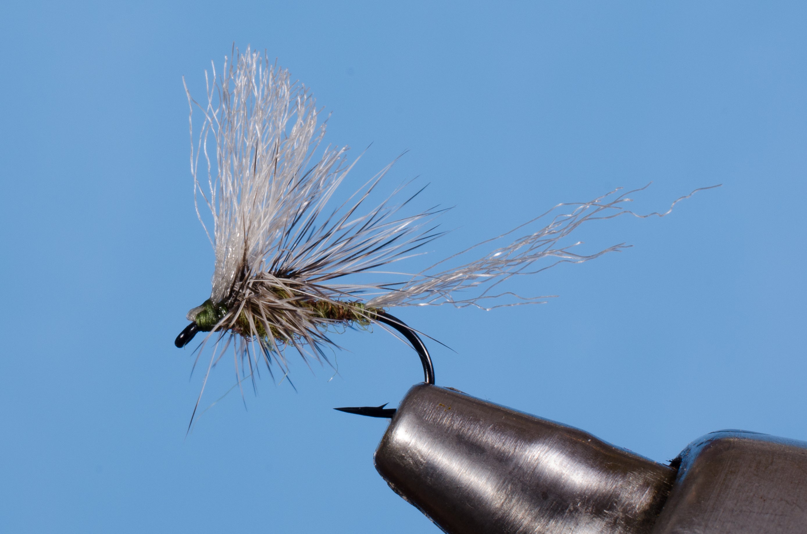 Morrish May Day – charliesflybox