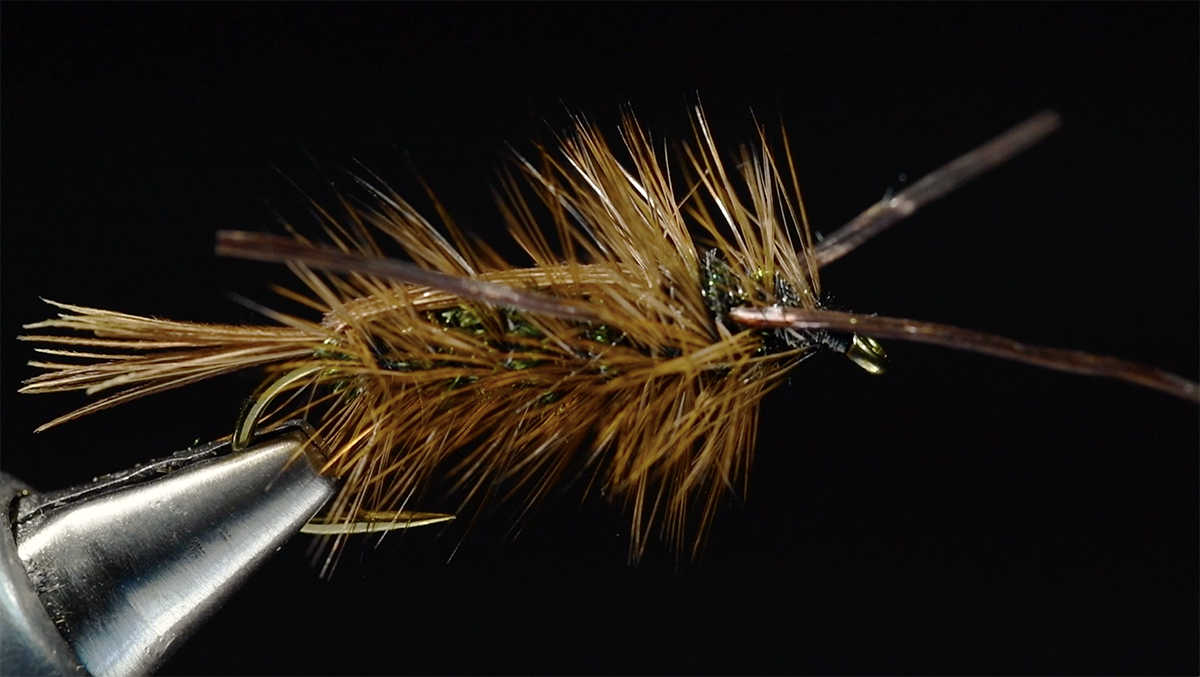 Rubberleg Halfback Fly Tying Video – charliesflybox