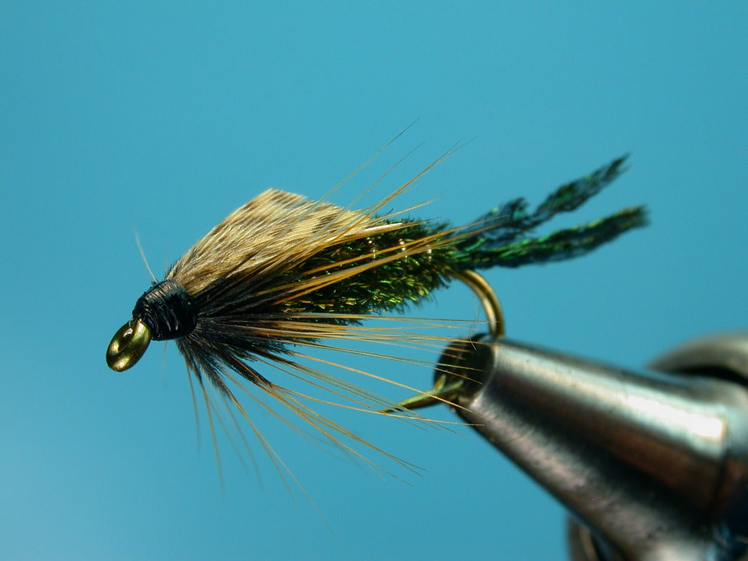 Zug Bug – charliesflybox