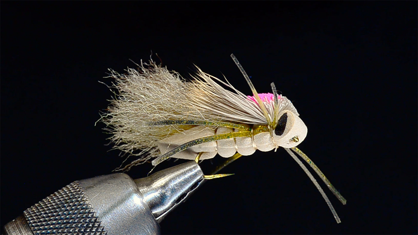 Boy Wonder Hopper Fly Tying Video – charliesflybox