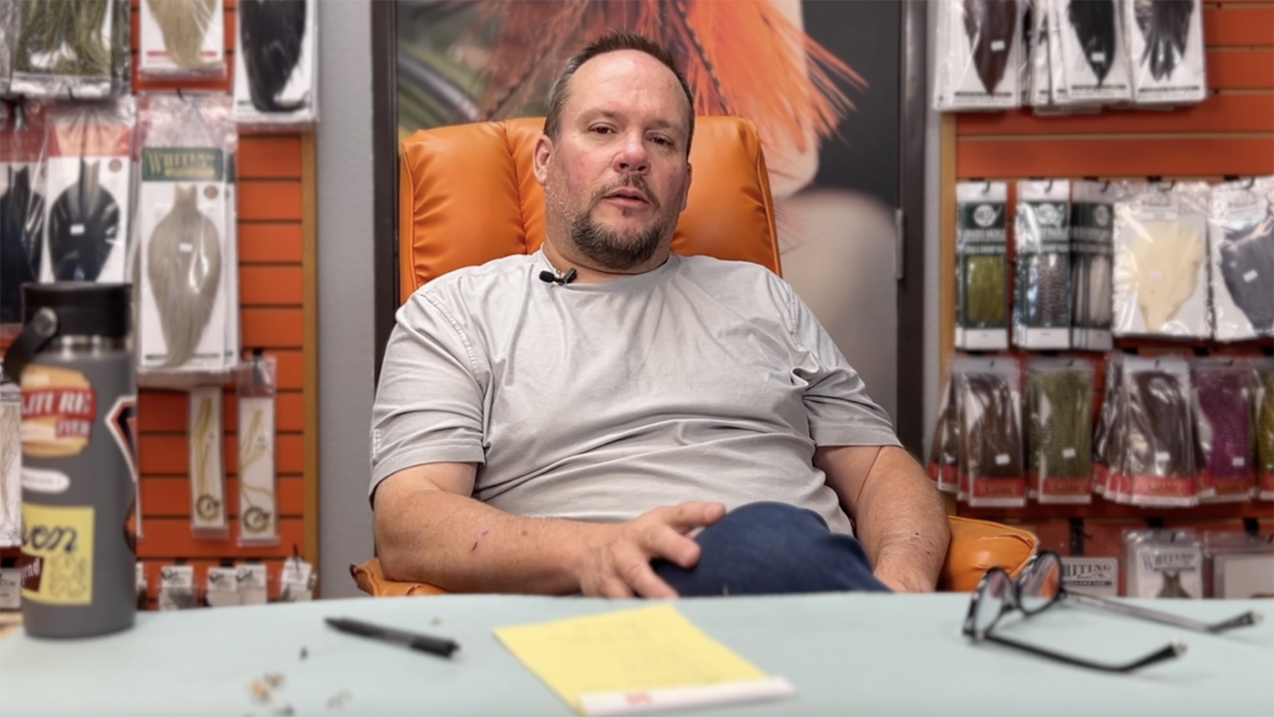 Bug Talk: PMDs – charliesflybox