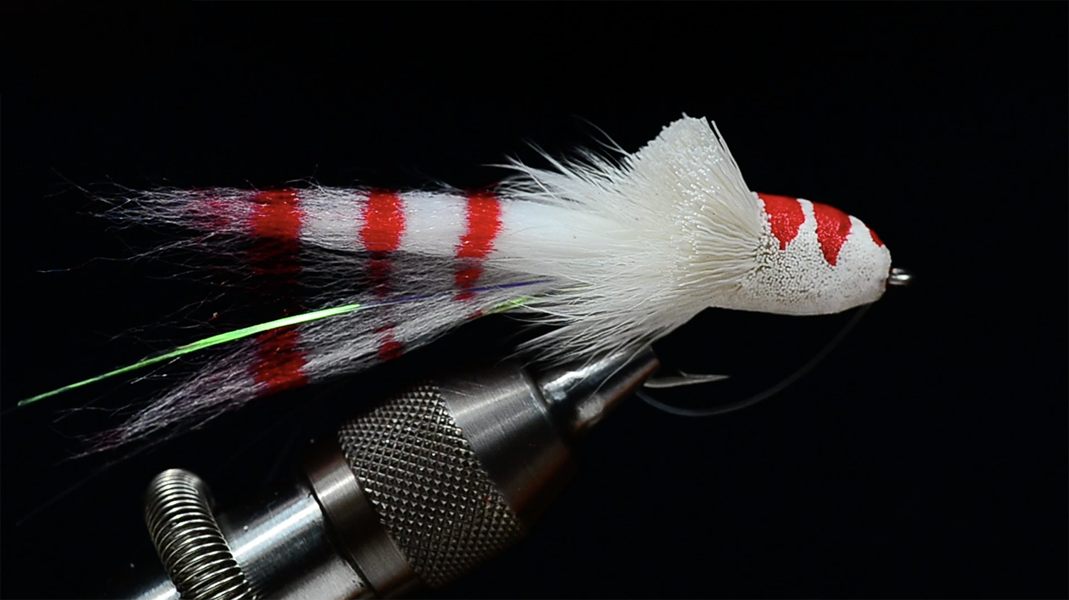 Dahlberg Diver Fly Tying Video – charliesflybox