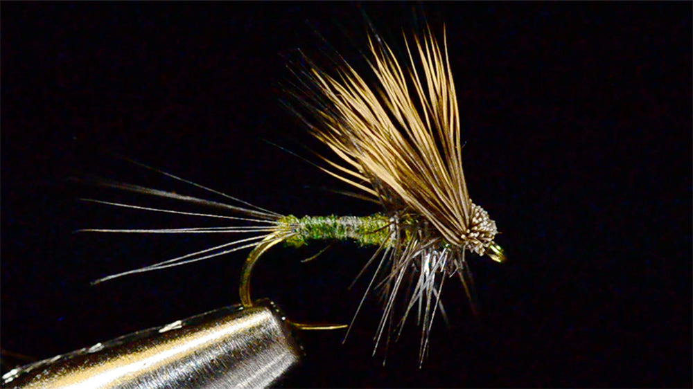 Hair Wing Dun Fly Tying Video – charliesflybox
