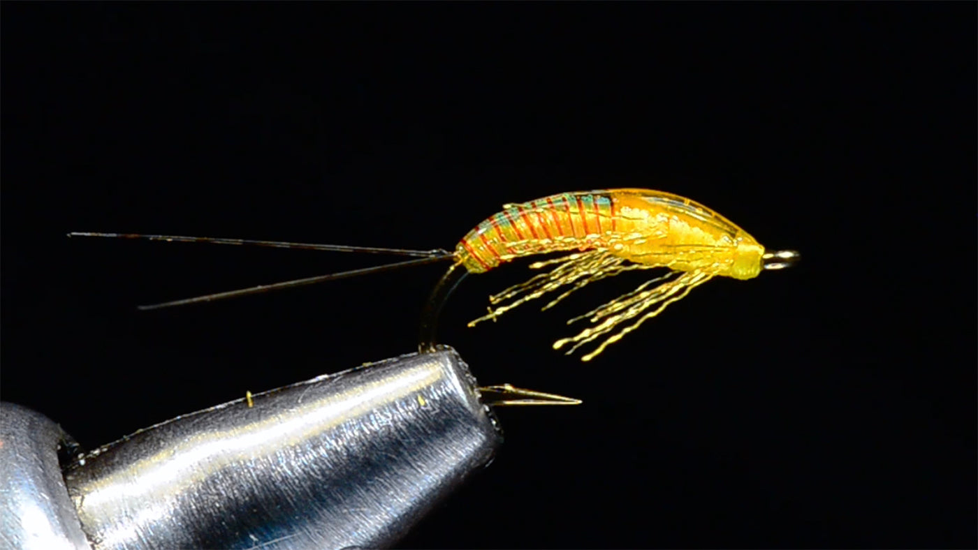 Juju Sally Fly Tying Video – charliesflybox