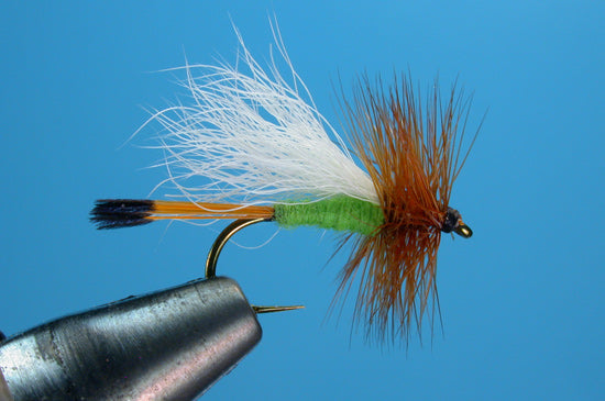 Lime Trude – charliesflybox