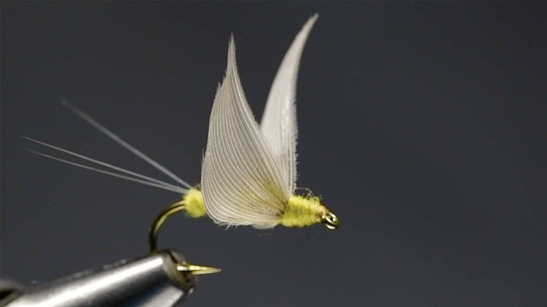 No Hackle Fly Tying Video – charliesflybox