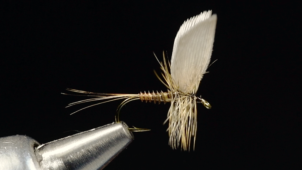 Quill Wing Dry Fly Tying Video – charliesflybox