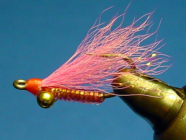 Crazy Charlie – charliesflybox