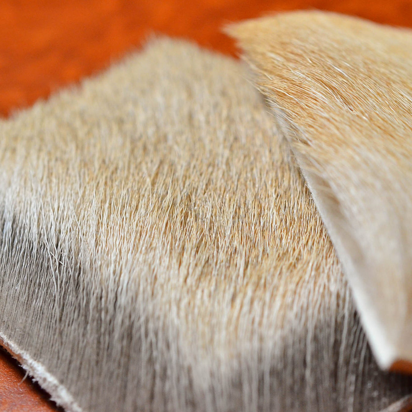 Hair & Fur – Page 2 – charliesflybox