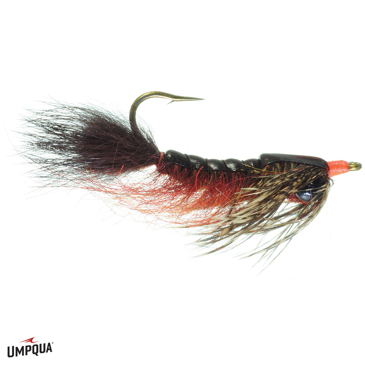 Barry's Carp Fly – charliesflybox