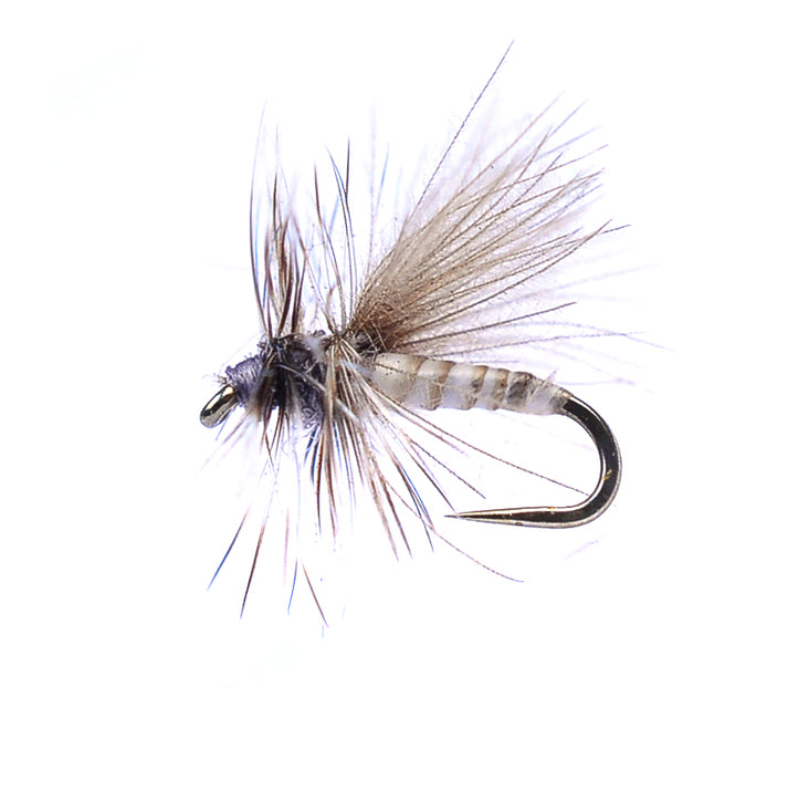 CDC Midge Adult – charliesflybox