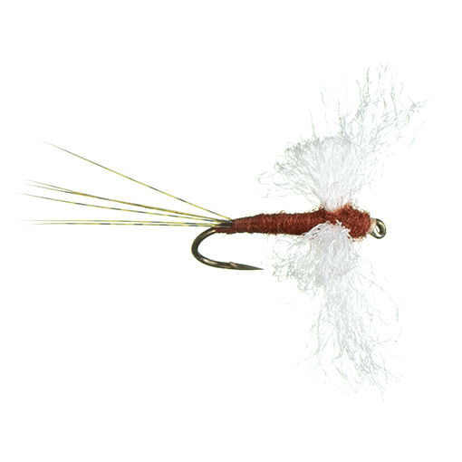 Galloup's Dolly Wing Spinner – charliesflybox