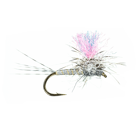 Guide Winna Spinna, Gray Drake – charliesflybox