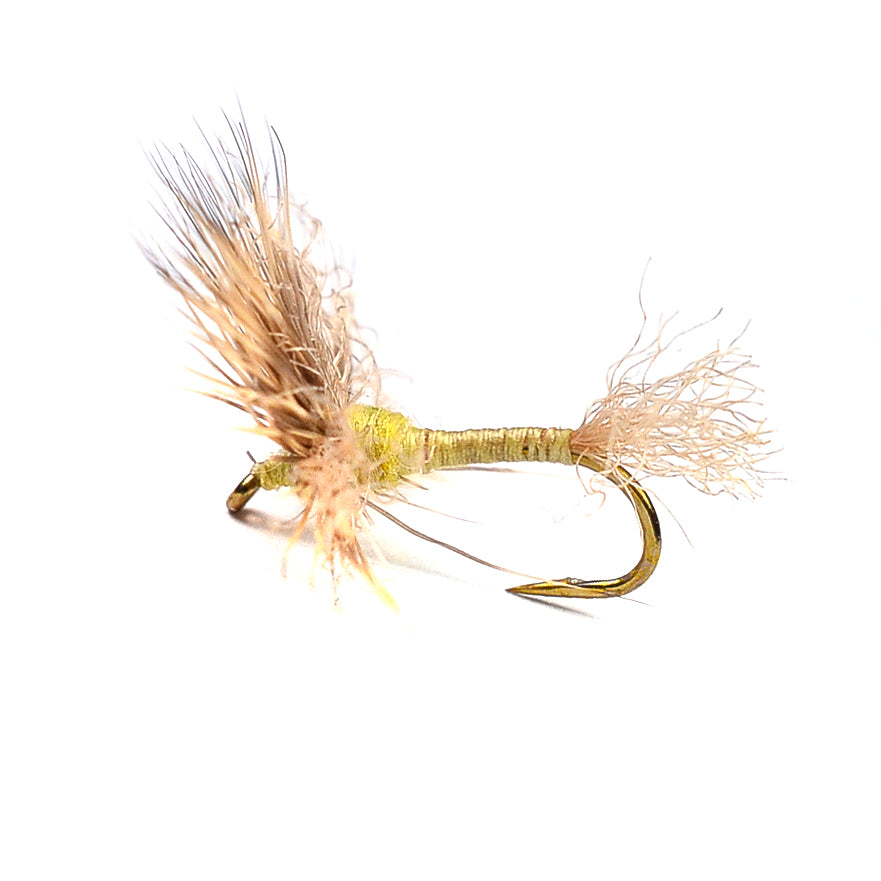 Improved Sparkle Dun – charliesflybox