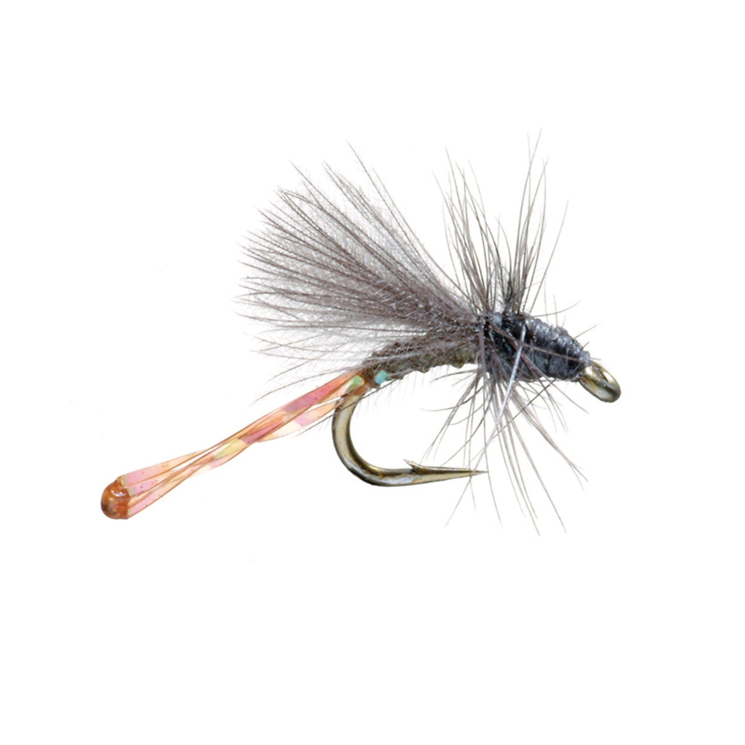 Morgan's Midge – charliesflybox