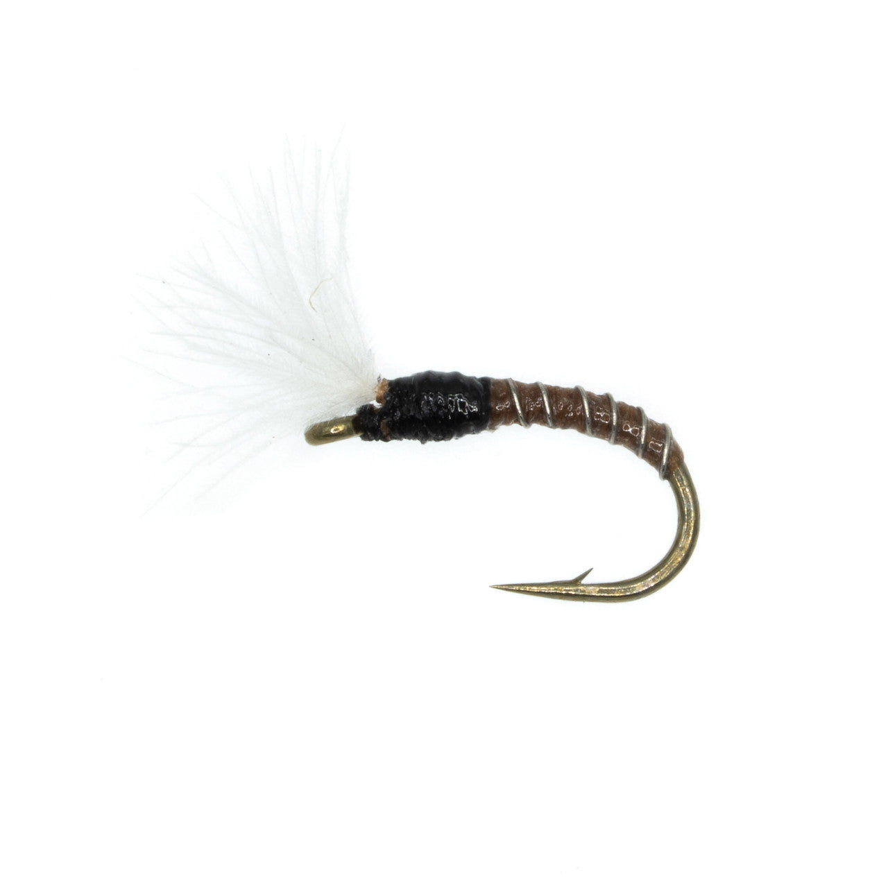 No Mercy Midge, Iwane's – charliesflybox