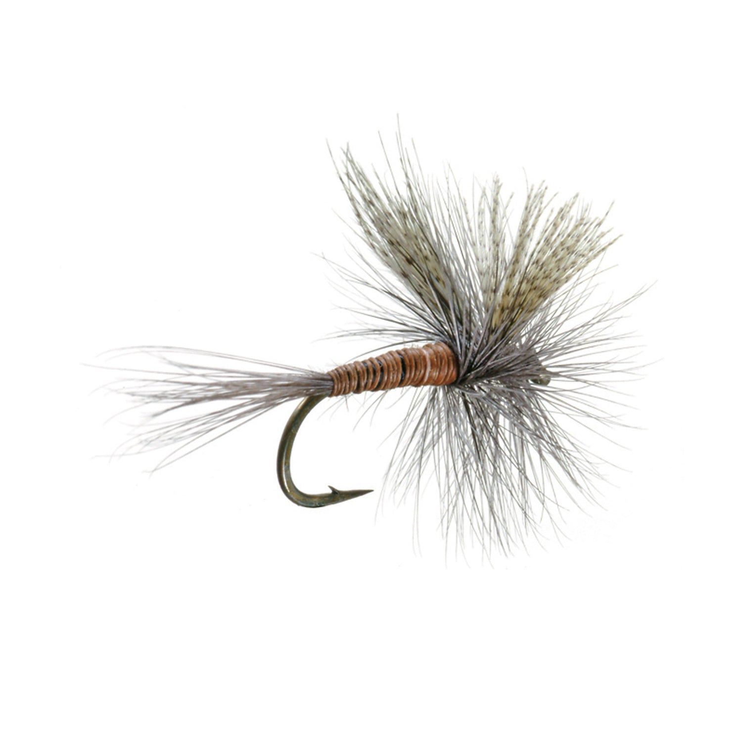 Red Quill – charliesflybox