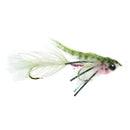Baby Gonga, Craven's – charliesflybox