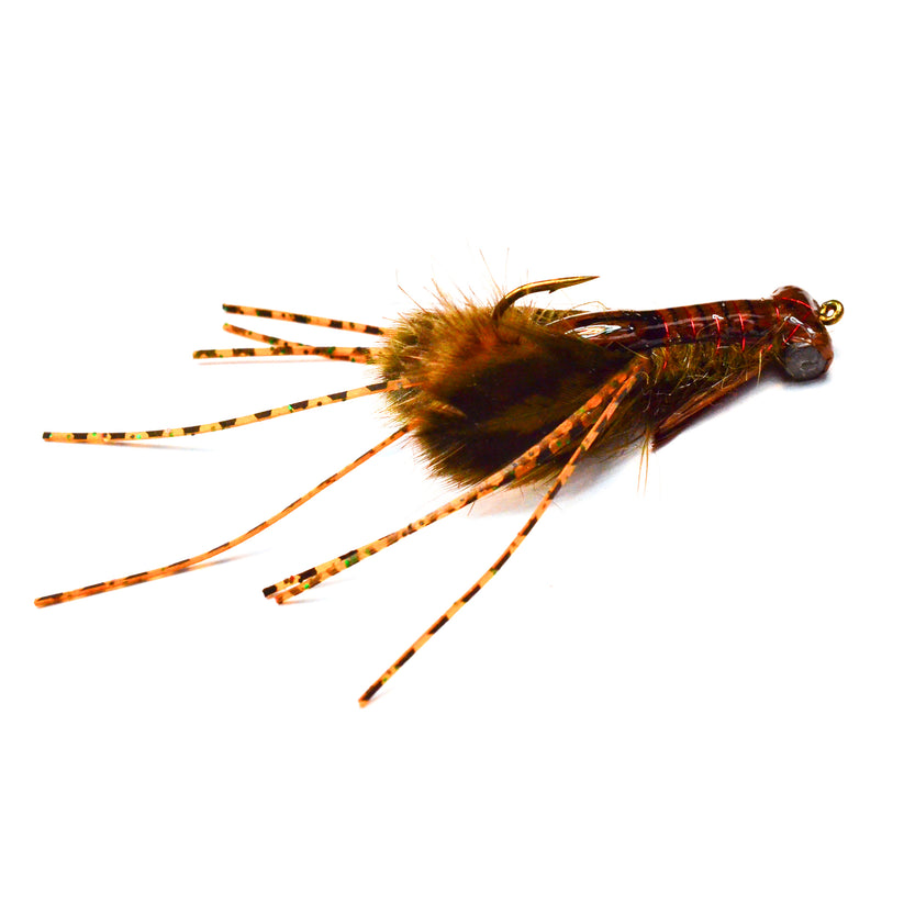 Creek Crawler, Hada's – charliesflybox