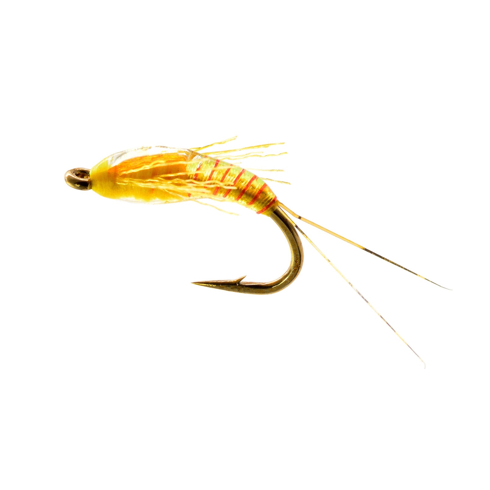 Juju Sally, Craven's – charliesflybox