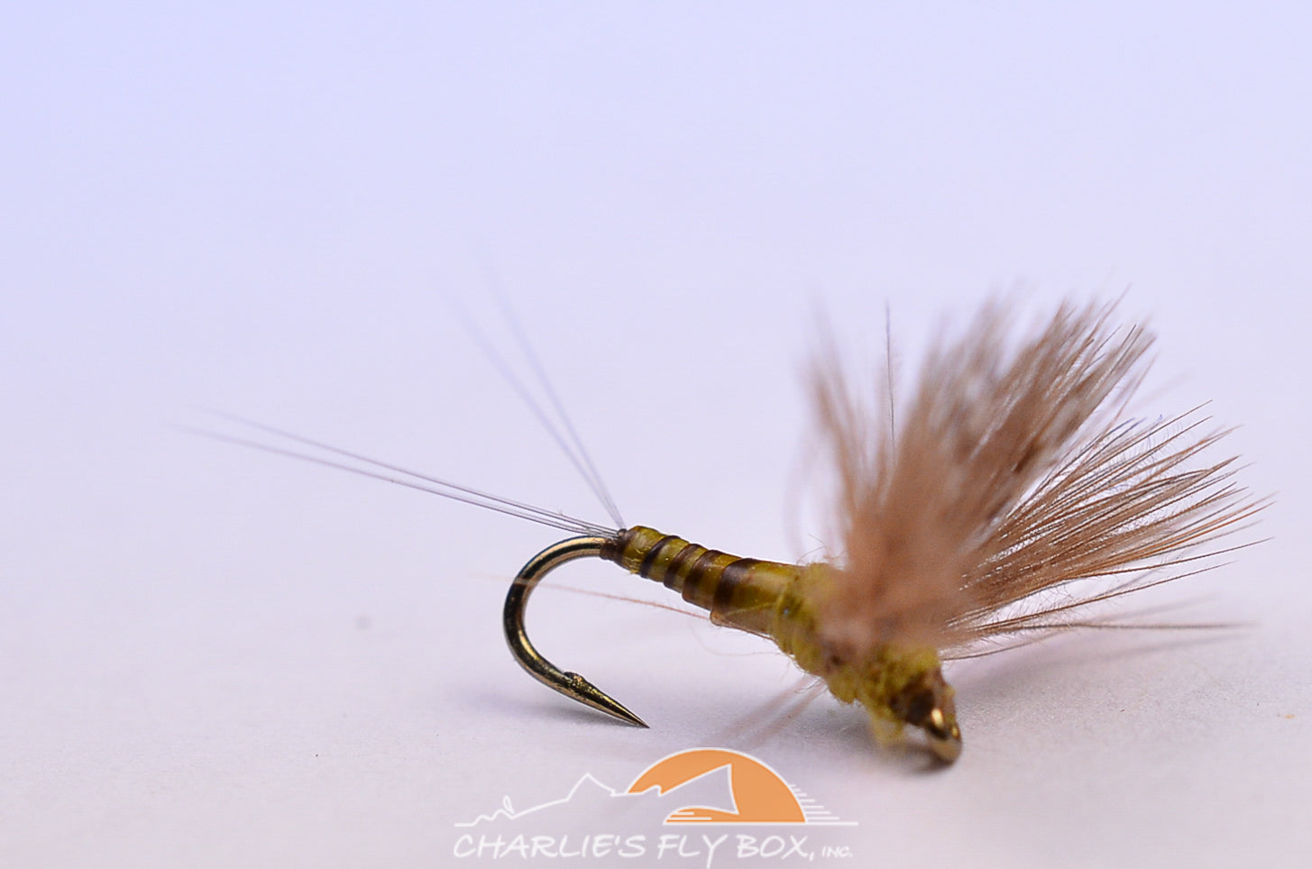 CDC Comparadun, BWO – charliesflybox