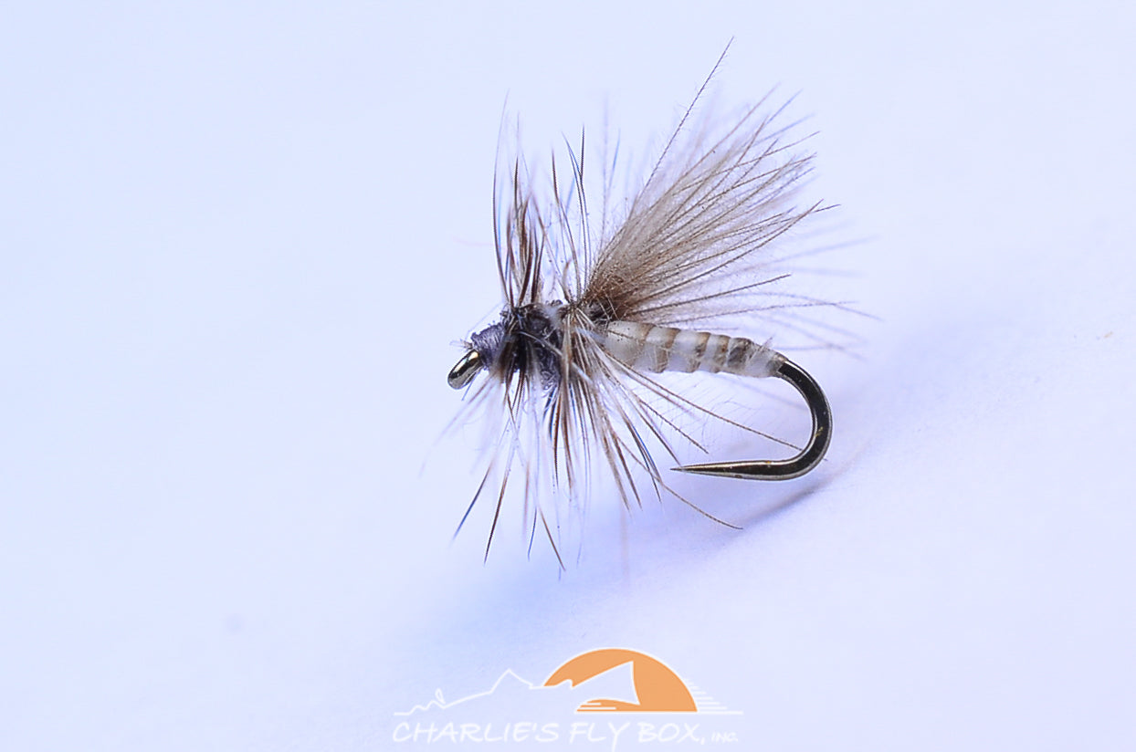 CDC Midge Adult – charliesflybox