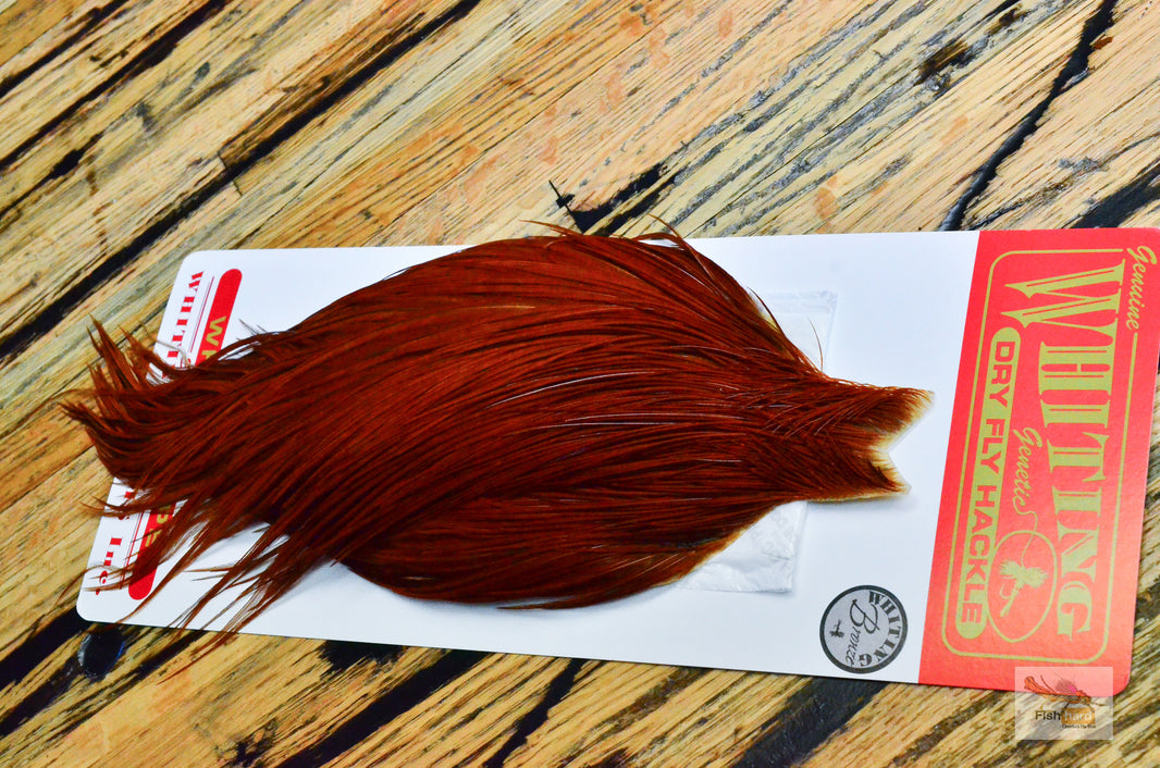 Whiting Rooster Capes – charliesflybox