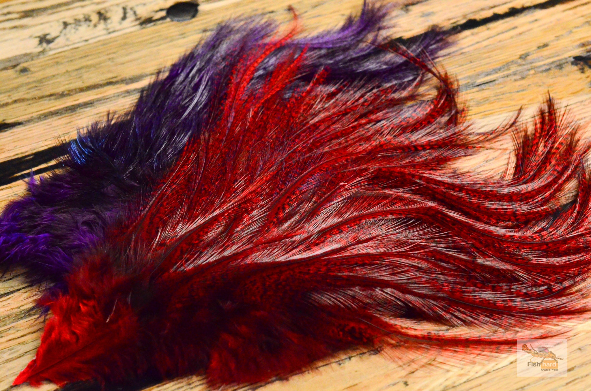 Whiting Tailing Packs (Euro Nymph) – charliesflybox