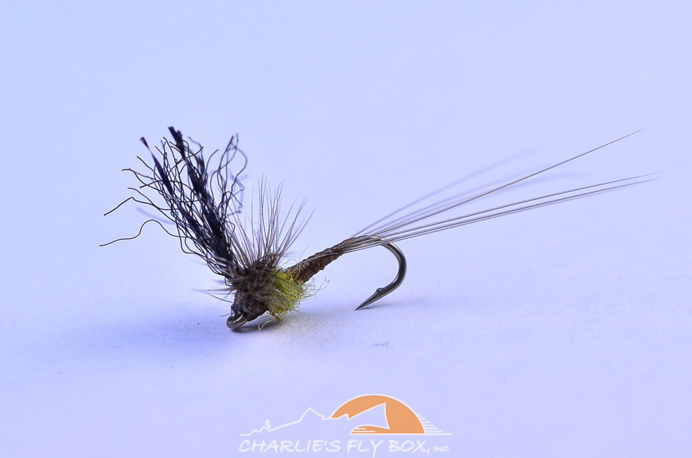 Sparkle Flag Dun, Quigley's – charliesflybox