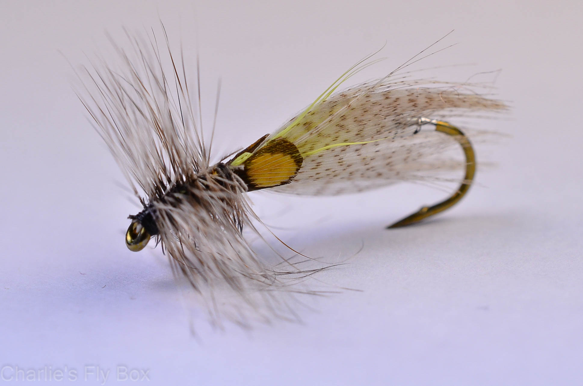 Hornberg – charliesflybox
