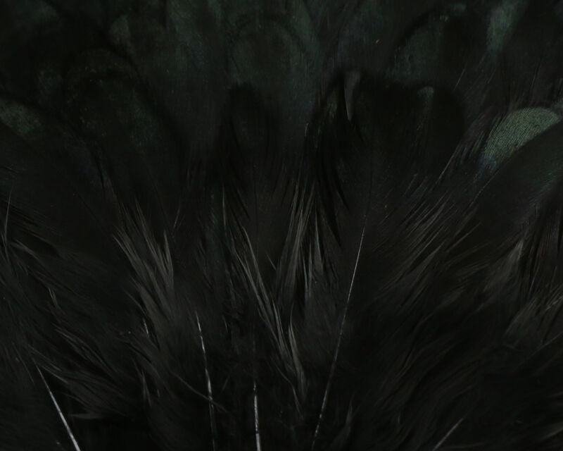 India Hen Back – charliesflybox