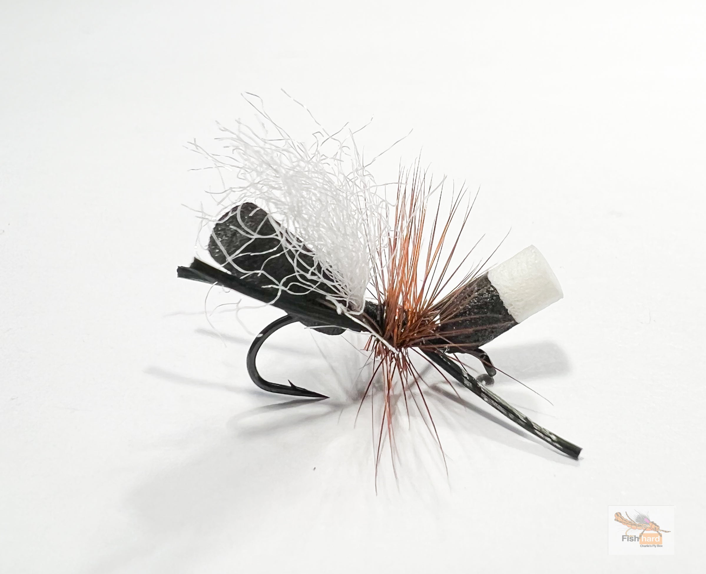 Bionic Ant, Egan's – charliesflybox