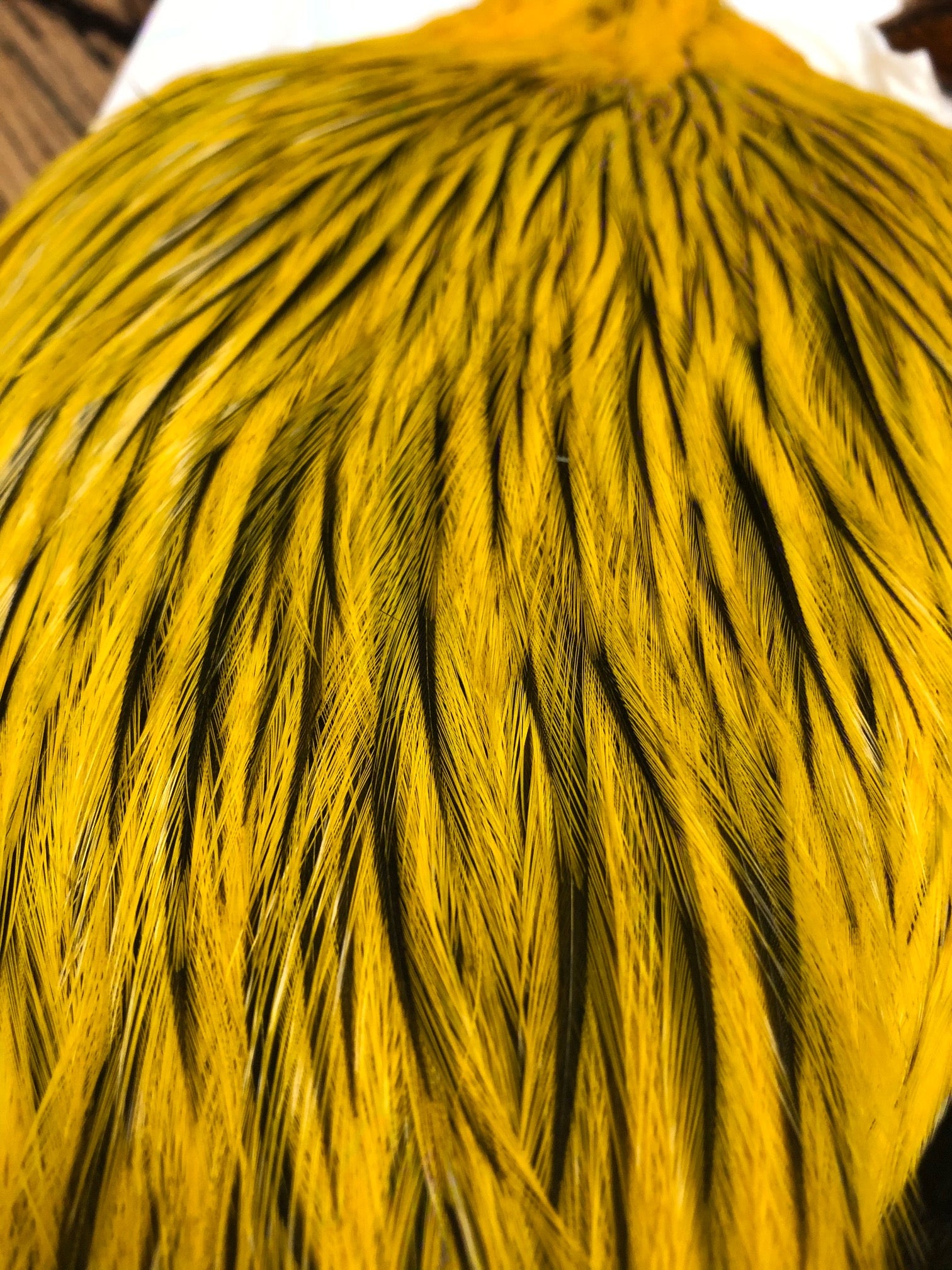 Whiting Freshwater Streamer Capes – charliesflybox