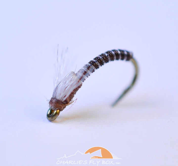 Charlie Craven Signature Patterns – charliesflybox