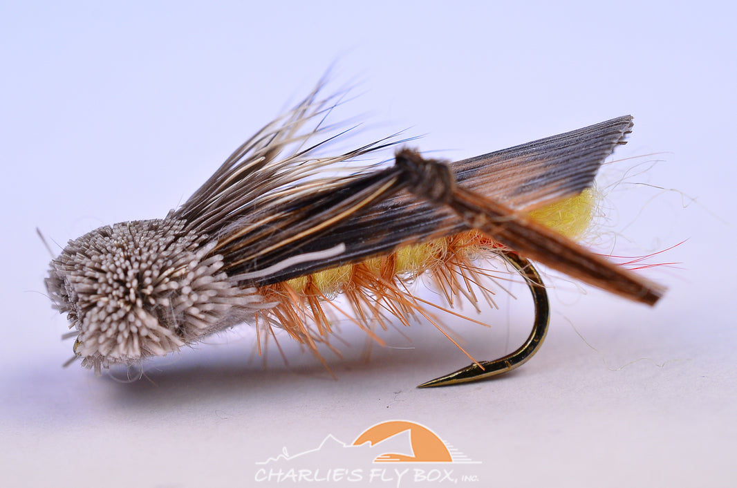 Terrestrials – charliesflybox