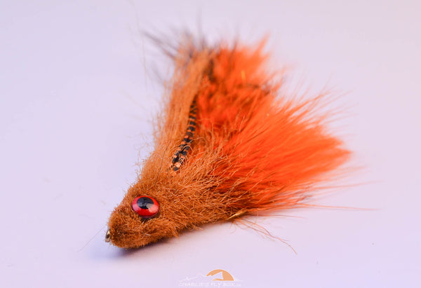 Double Gonga, Craven's – charliesflybox