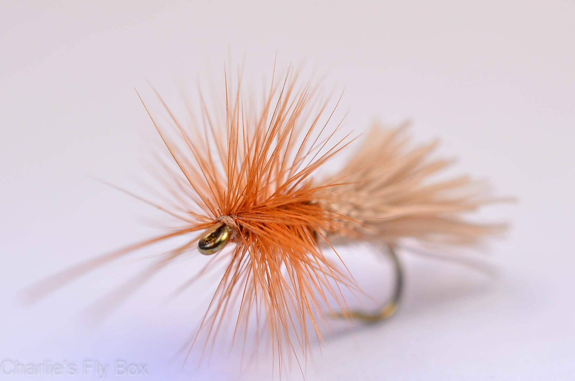 Goddard Caddis – charliesflybox