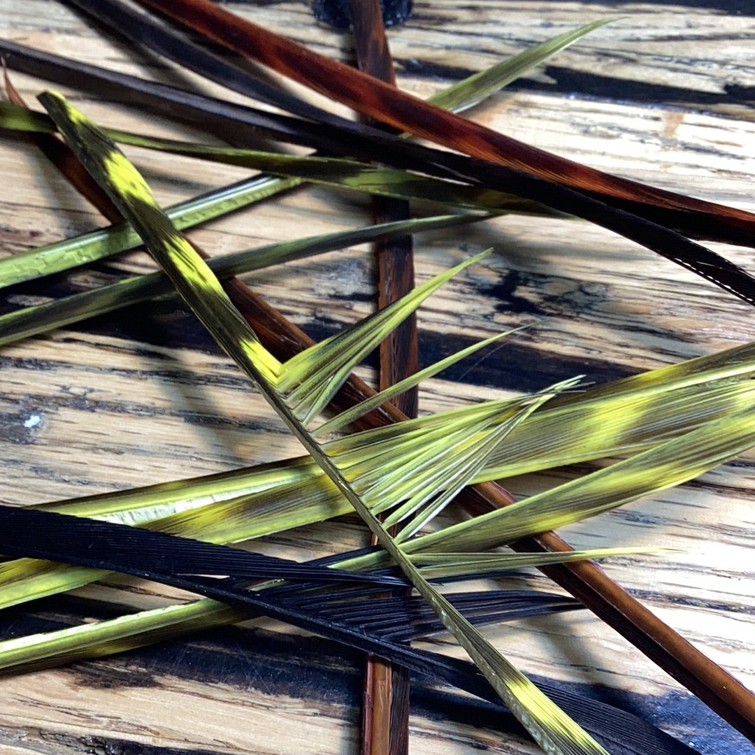 Magpie Materials Custom Dyed Premium Turkey Biots – charliesflybox