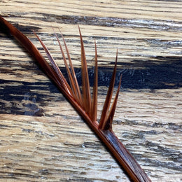 Magpie Materials Custom Dyed Premium Turkey Biots – charliesflybox
