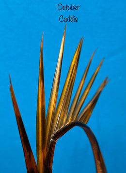 Magpie Materials Custom Dyed Premium Turkey Biots – charliesflybox