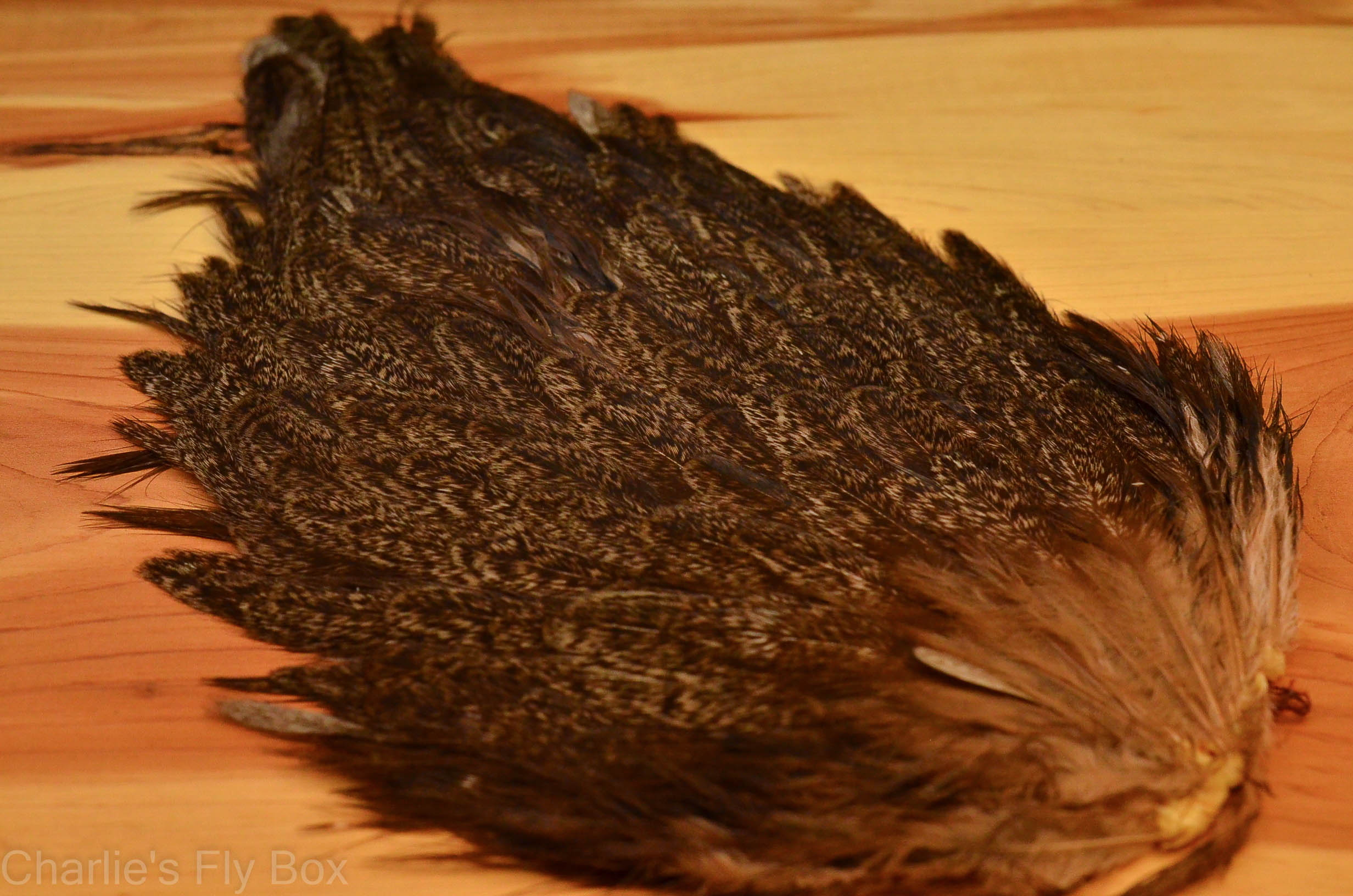 India Hen Back – charliesflybox