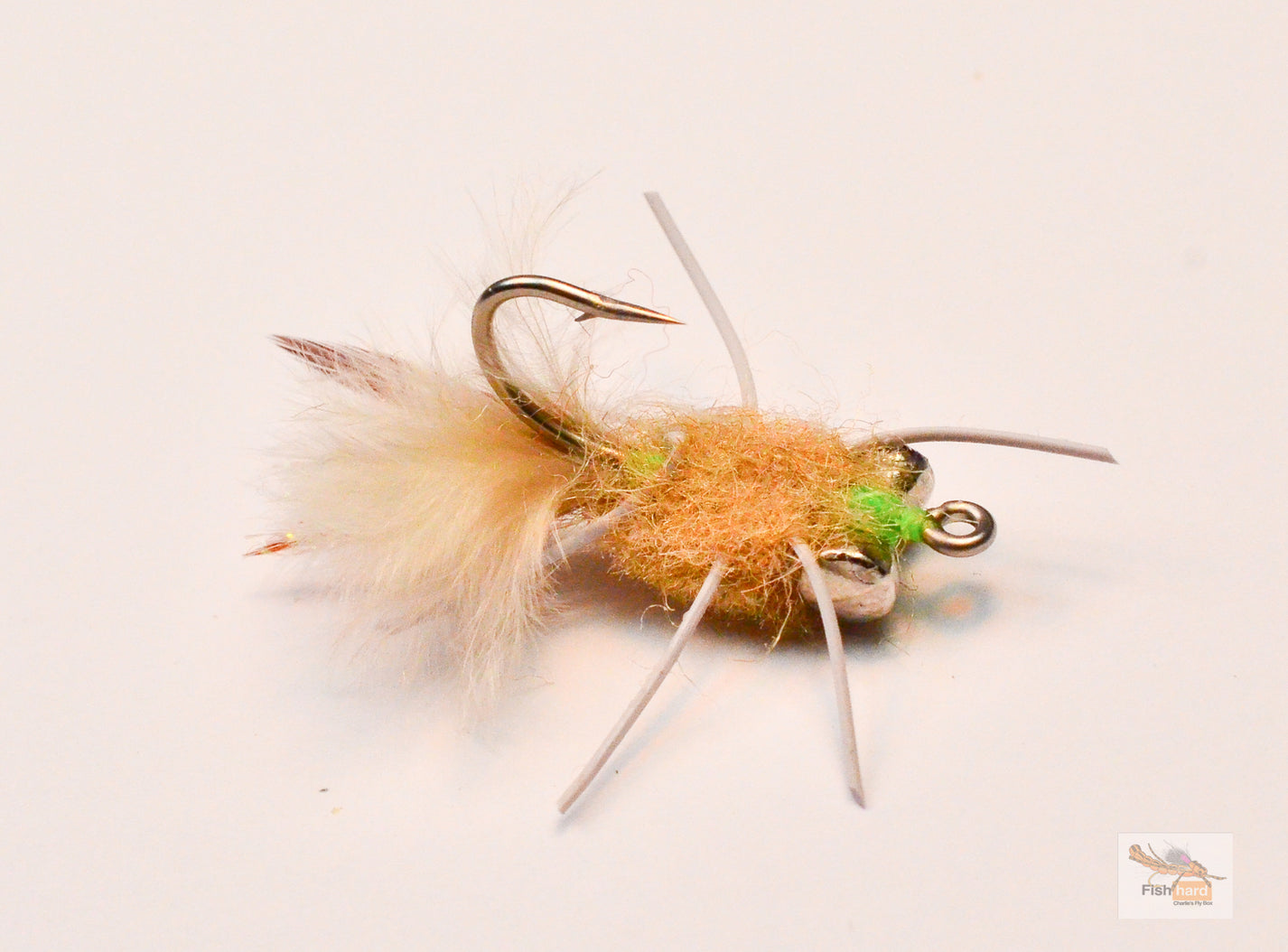 Rag Head Crab – charliesflybox